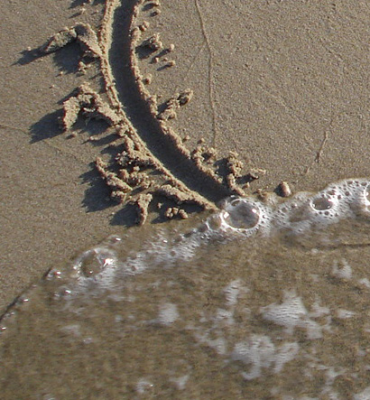 The Finishing Line – Karina Borowicz